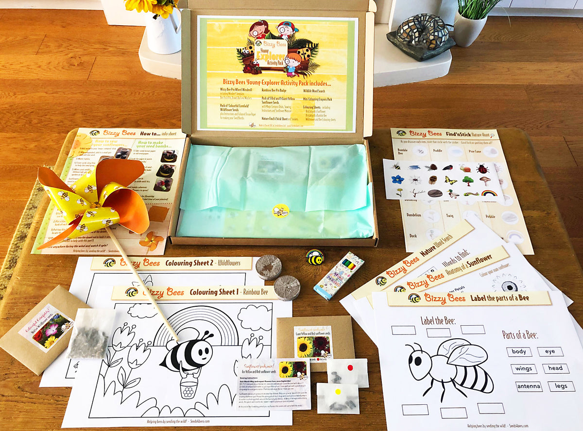 Kids Activity Pack - Bizzy Bees Young Explorers - The fun way to learn ...